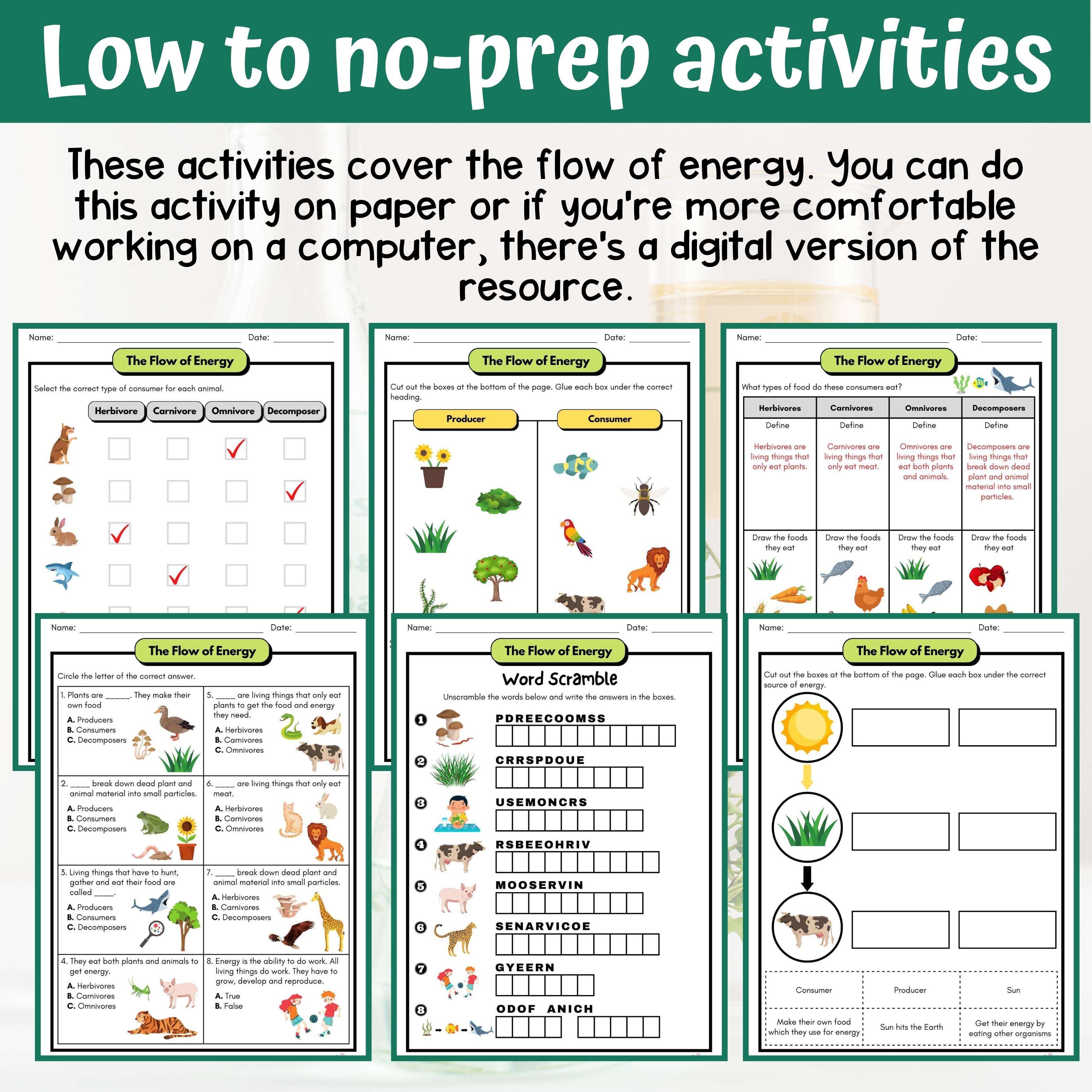 Flow of Energy Activity & Answer Key 4th Grade Life Science - Classful