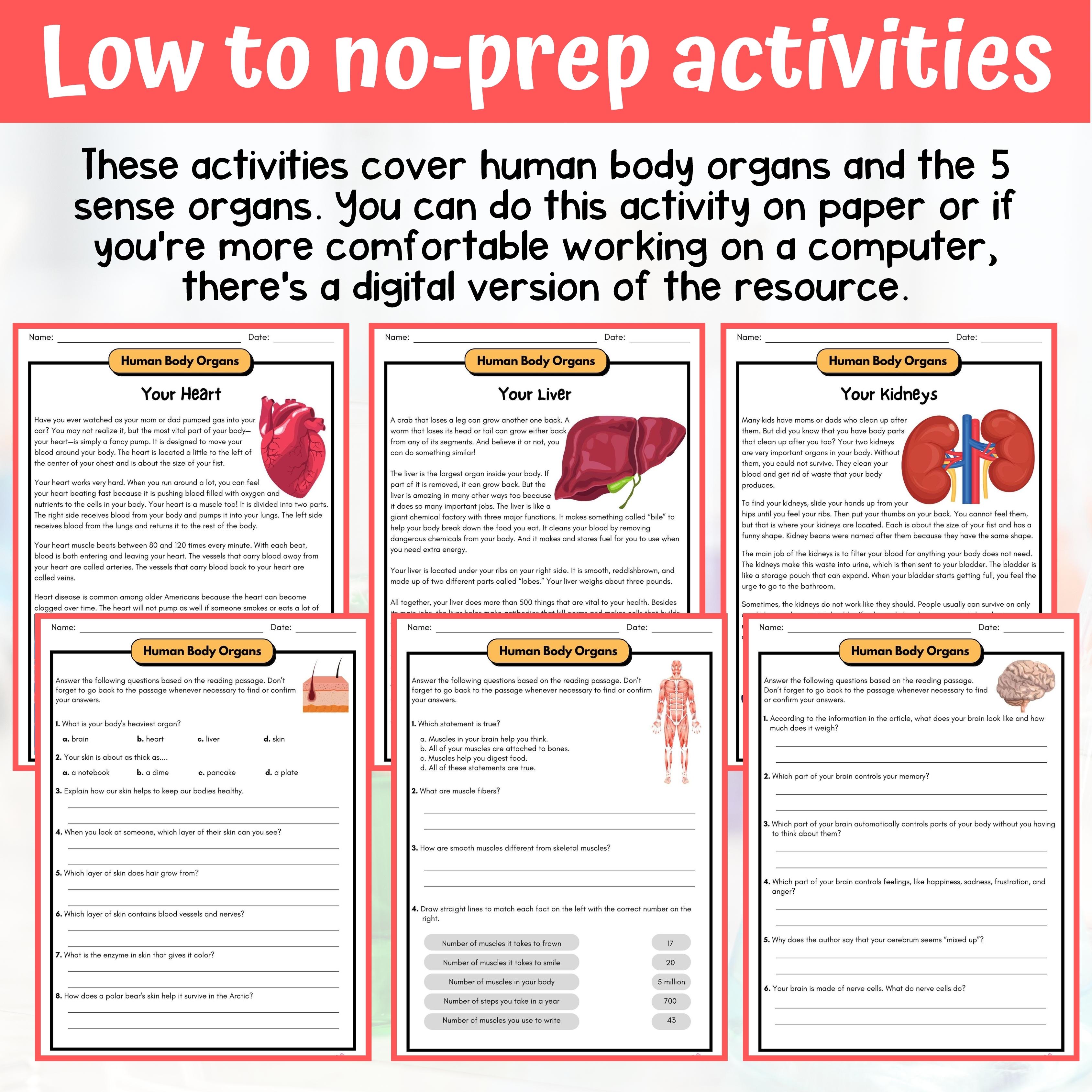 Human Body Organs Activity & Answer Key 5th Grade Life Science - Classful