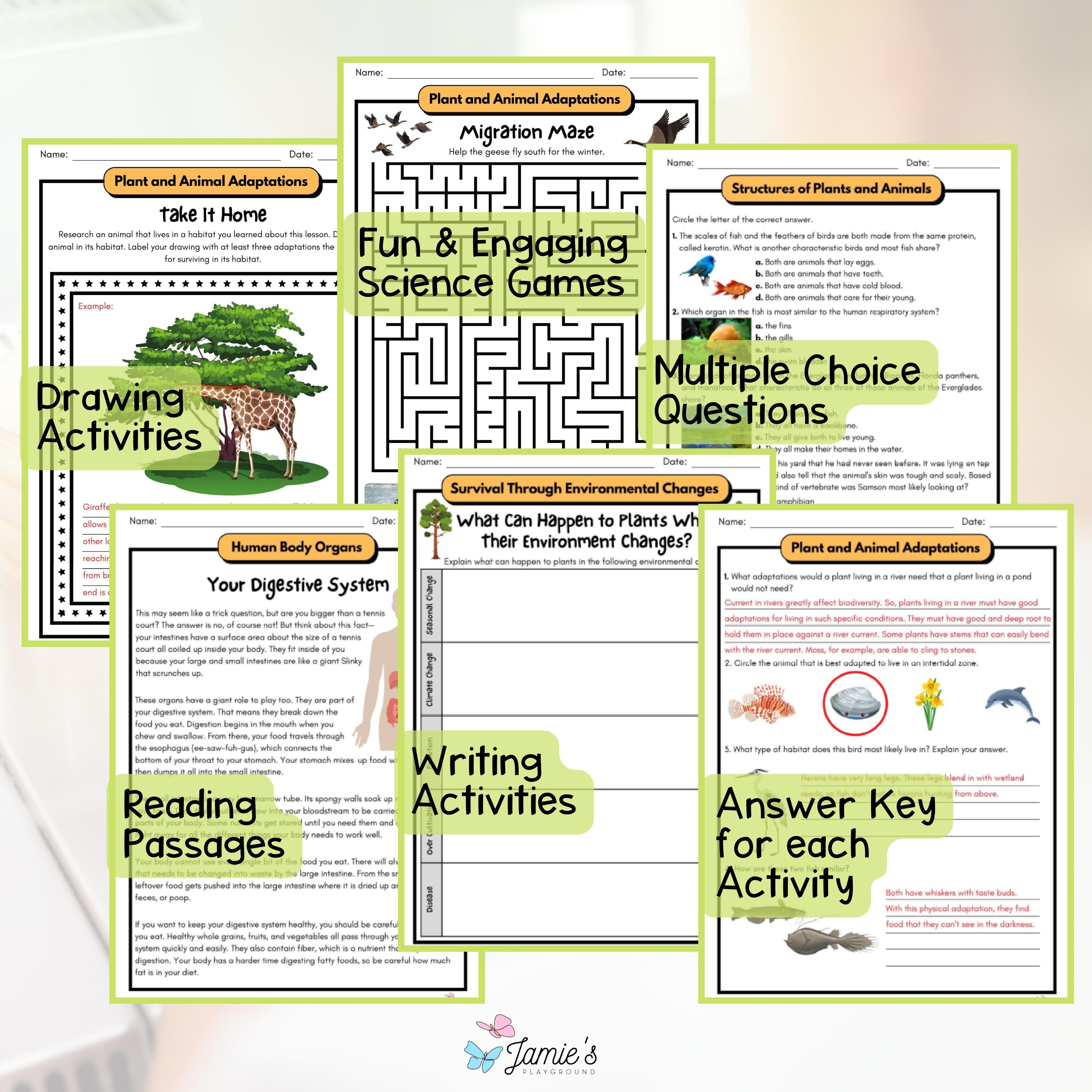 5th Grade Life Science BUNDLE - NGSS Aligned Activities & Answer Key ...