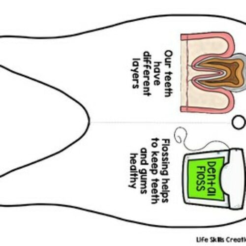 Dental Health - Craft - 3D Mobile - Teeth Craftivity - Classful
