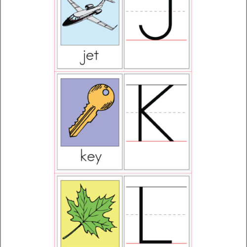 ABC and Phonics Flash Cards ESL ELL Newcomer - Classful