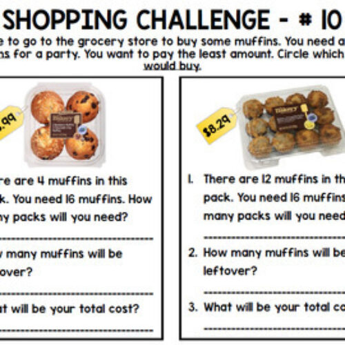Grocery Shopping - Life Skills - Budget - Shopping Challenge - Money ...
