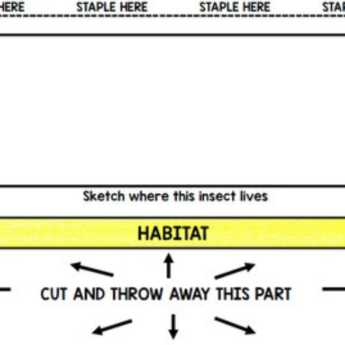 Insect Research - Interactive Notebook - Special Education - Spring ...