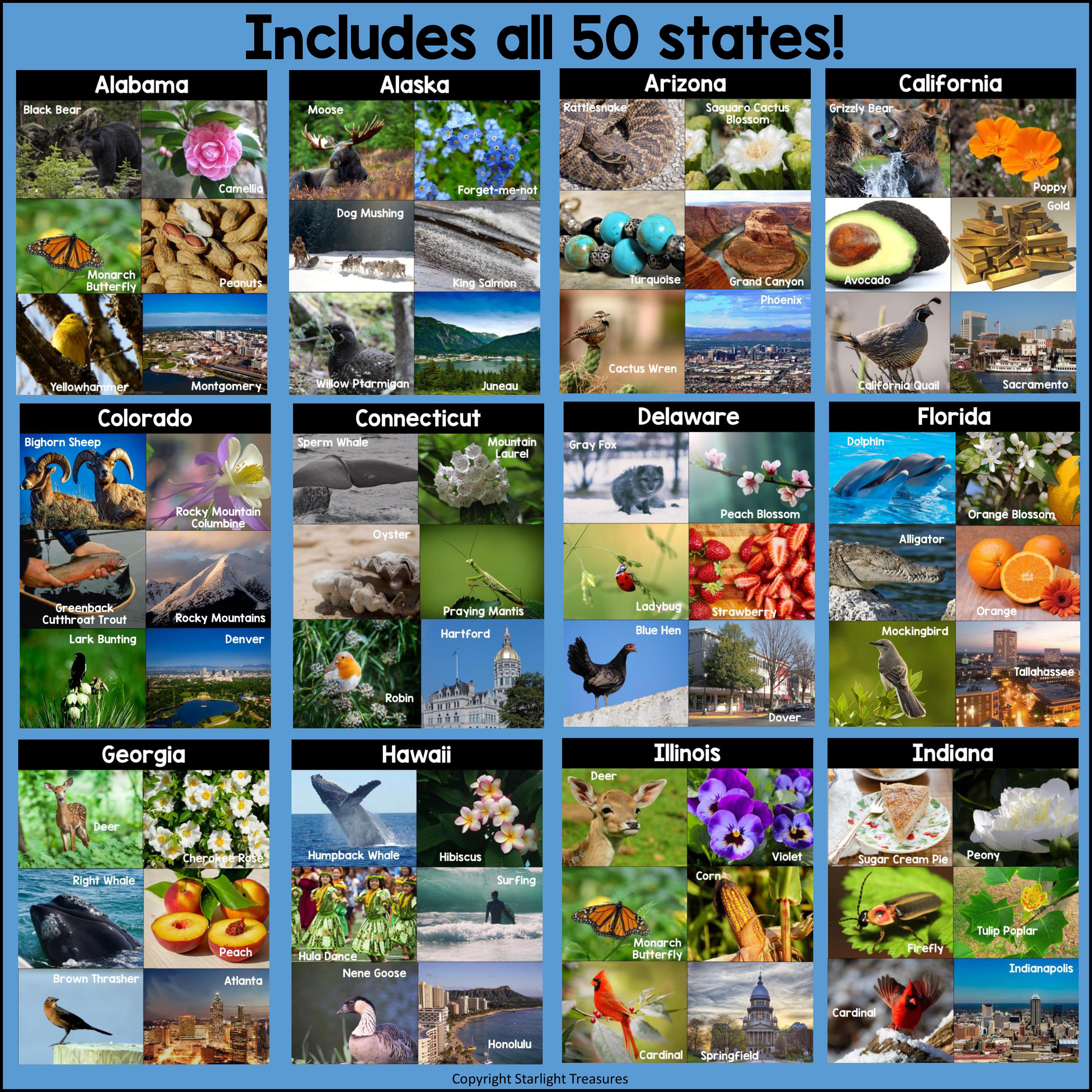 50 States Photo Collage Posters - 50 States Symbol Posters - Classful