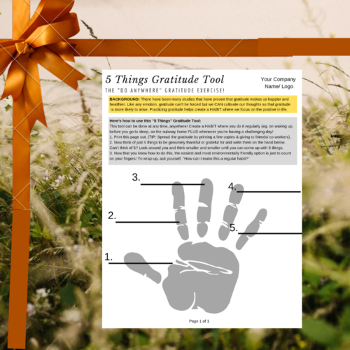 5 Things Gratitude Tool - Classful