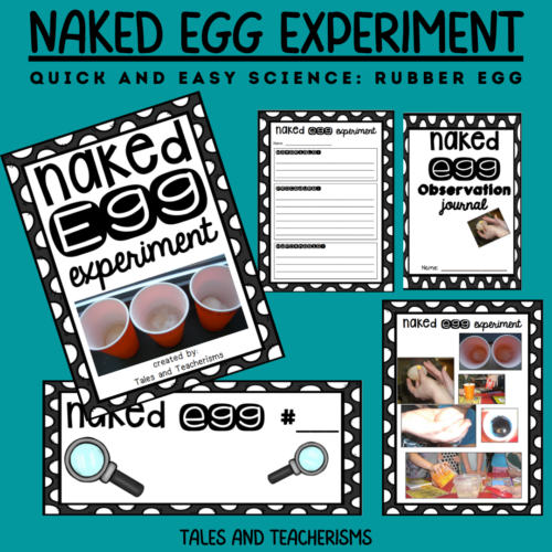 rubber egg science experiment