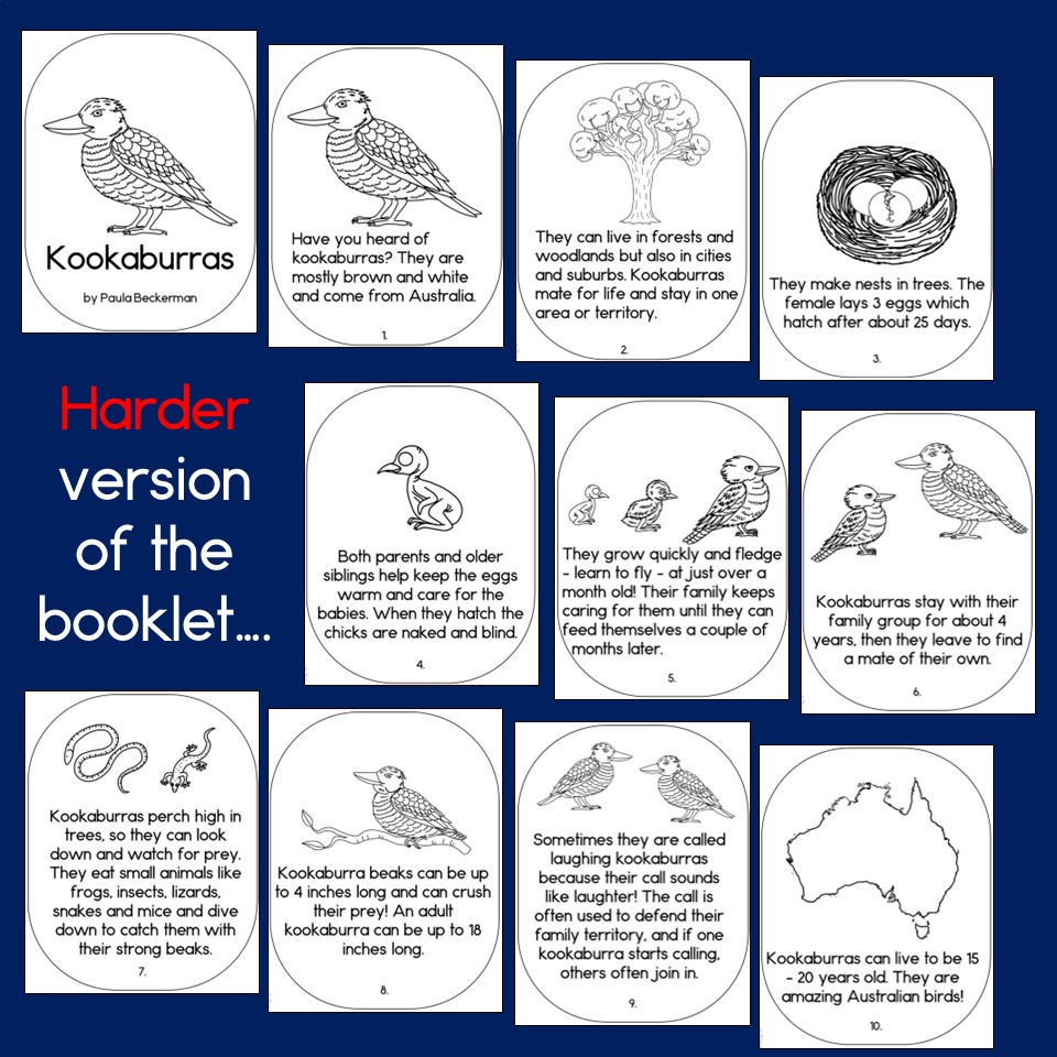 Kookaburra Book Craft and Reading Comprehension - Classful