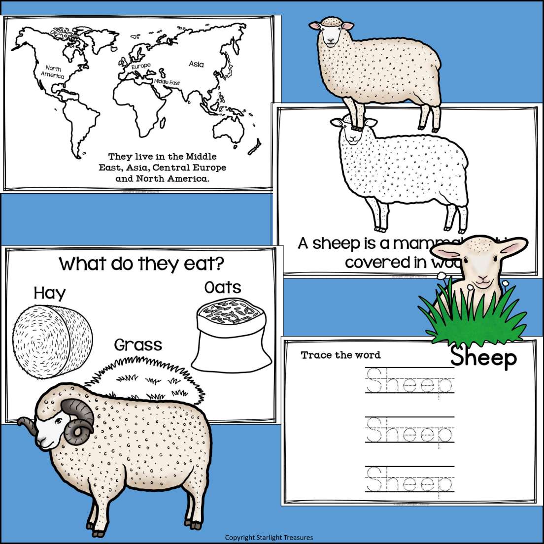 Sheep Mini Book for Early Readers - Animal Study - Classful