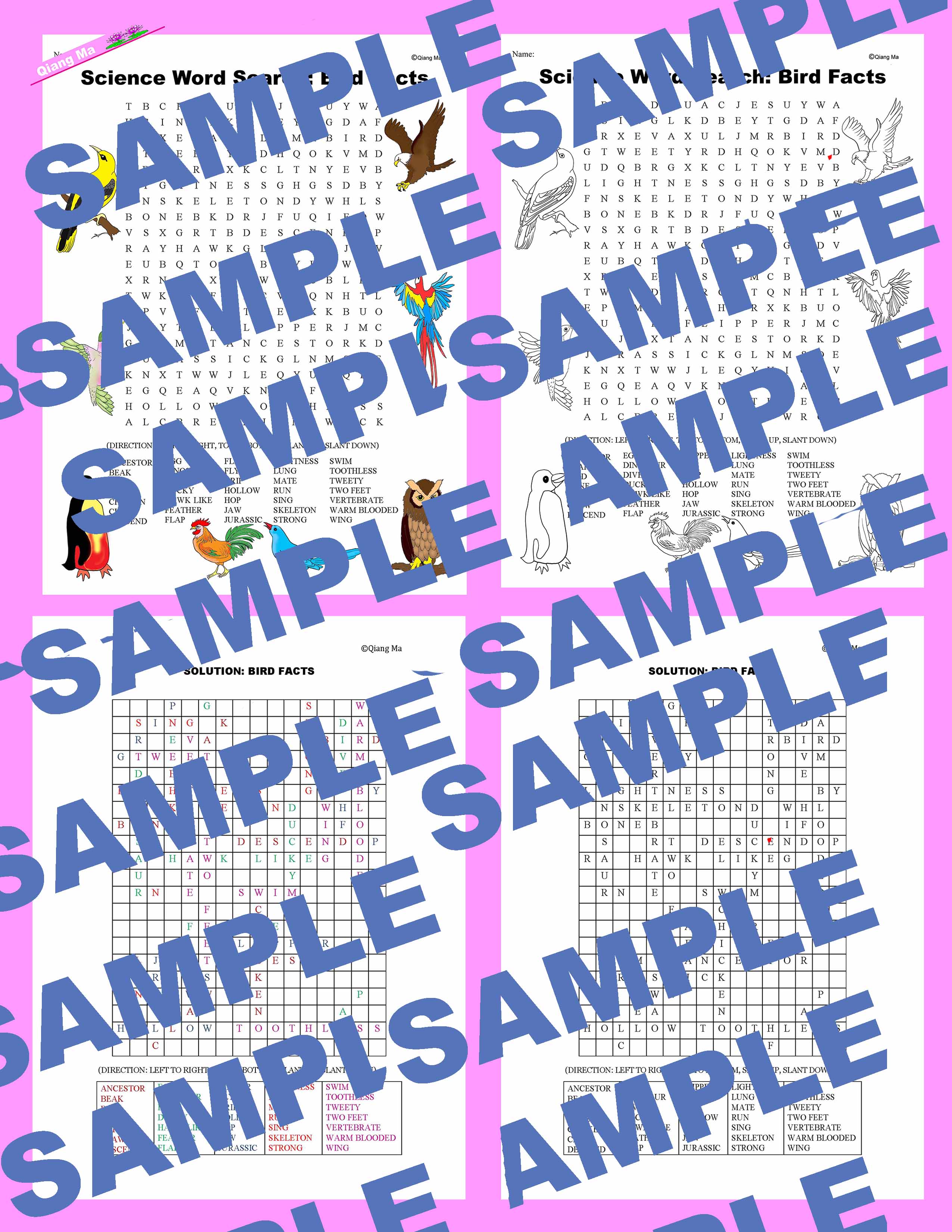 Science Word Search- Bird Facts - Classful