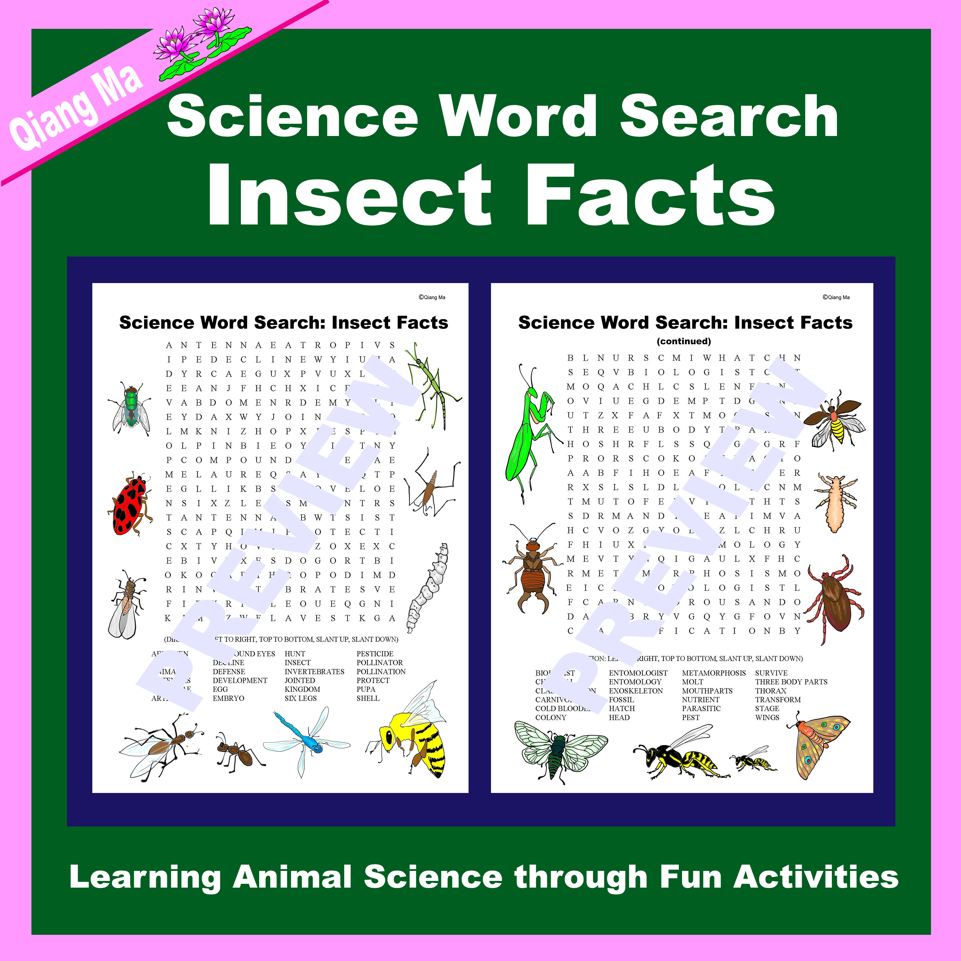 Science Word Search- Insect Facts - Classful