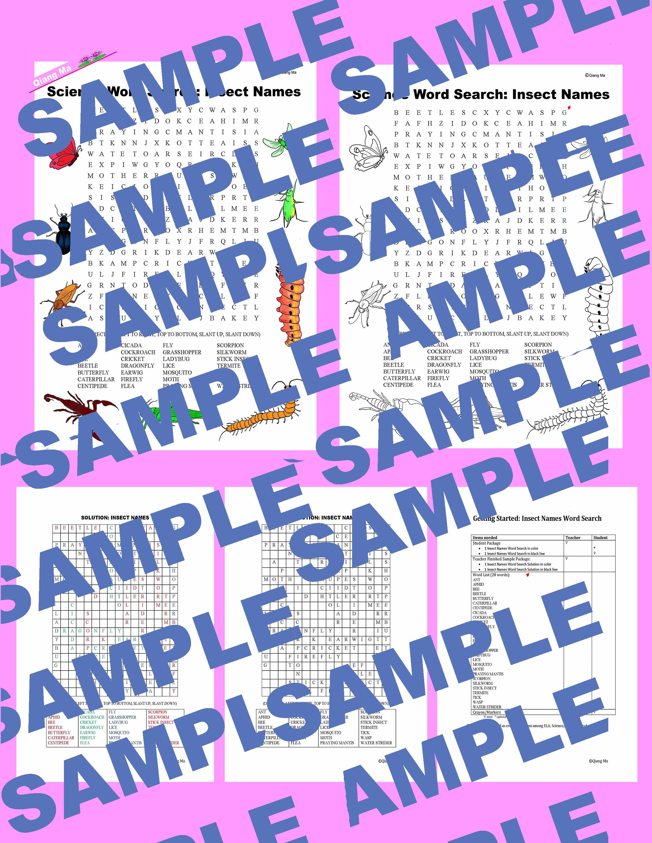 Science Word Search- Insect Names - Classful