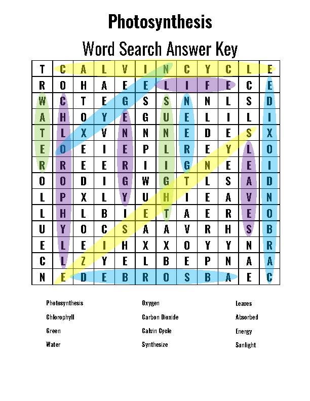 Photosynthesis Word Search - Classful