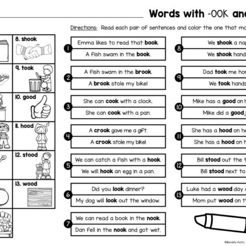 Vowel Team oo - -ook and -ood Game and Activities - Classful