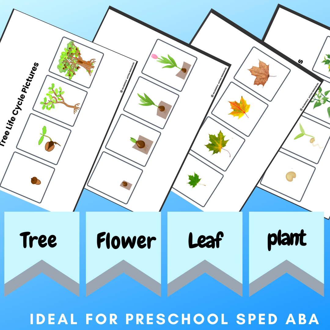 Spring 4 Step Sequence Cards & Mats and Cut & Paste Worksheets - Classful