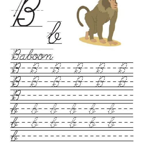 Cursive Handwriting Booklet - Classful