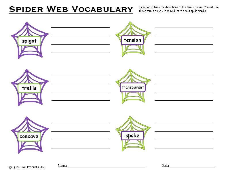 Spider Web Thematic Unit Worksheets and Activities - Classful