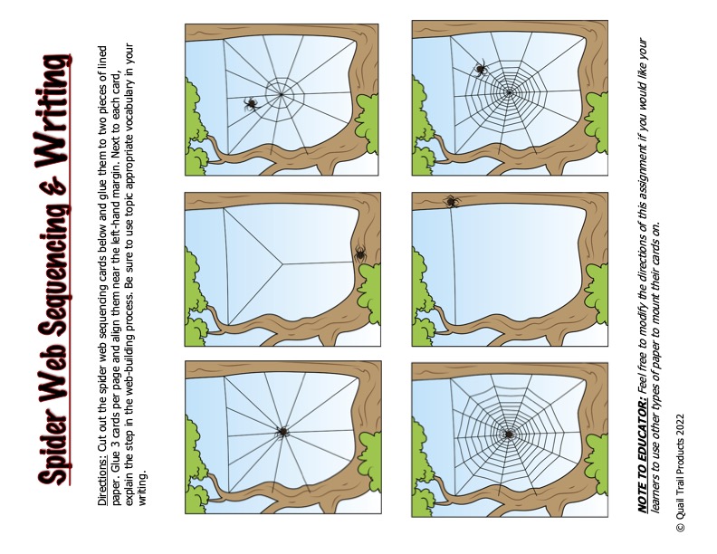 Spider Web Thematic Unit Worksheets and Activities - Classful
