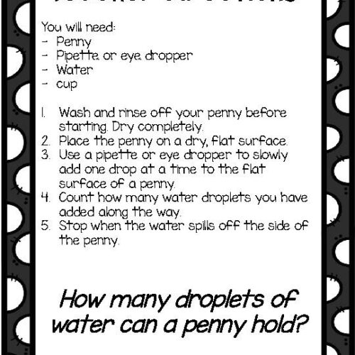 Quick and Easy Science Experiment- STEM Surface Tension on a Penny ...