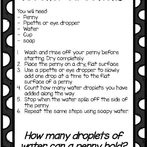 Quick and Easy Science Experiment- STEM Surface Tension on a Penny ...