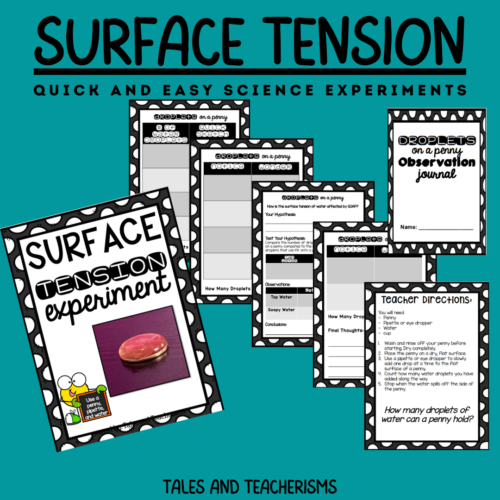 Quick and Easy Science Experiment- STEM Surface Tension on a Penny ...