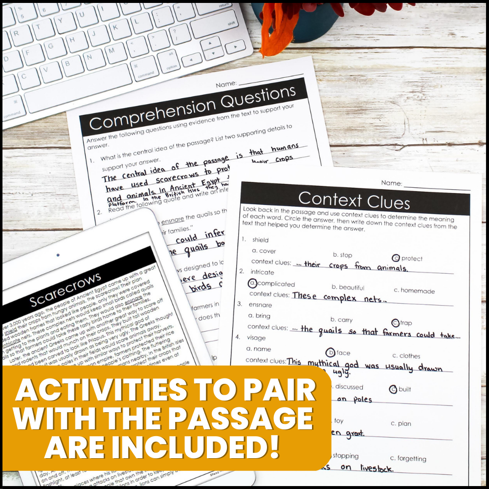 Fall Scarecrow Differentiated Reading Comprehension Passage and ...