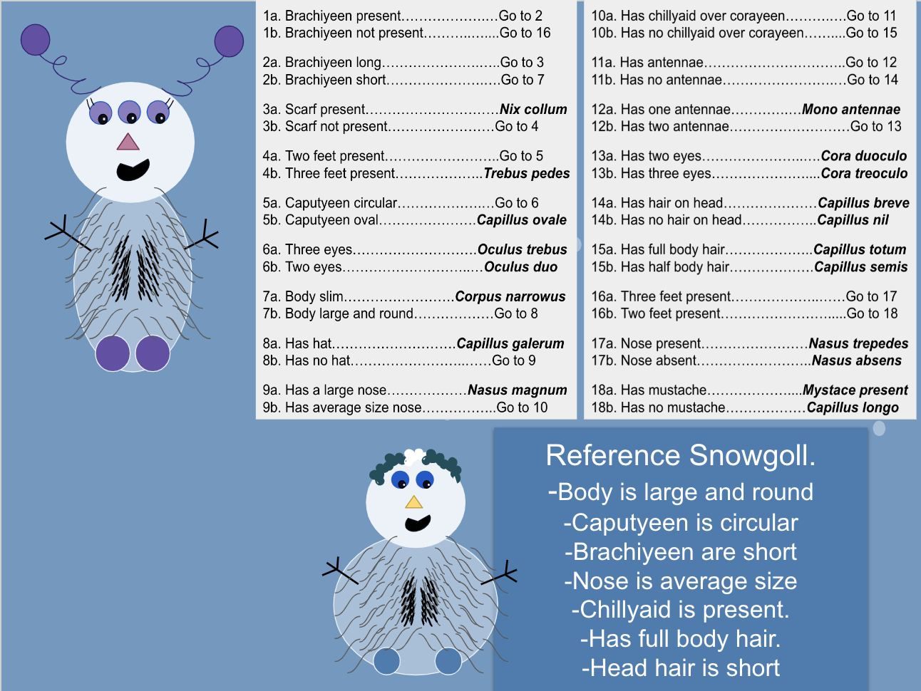 Snowgoll Winter Dichotomous Key - Classful
