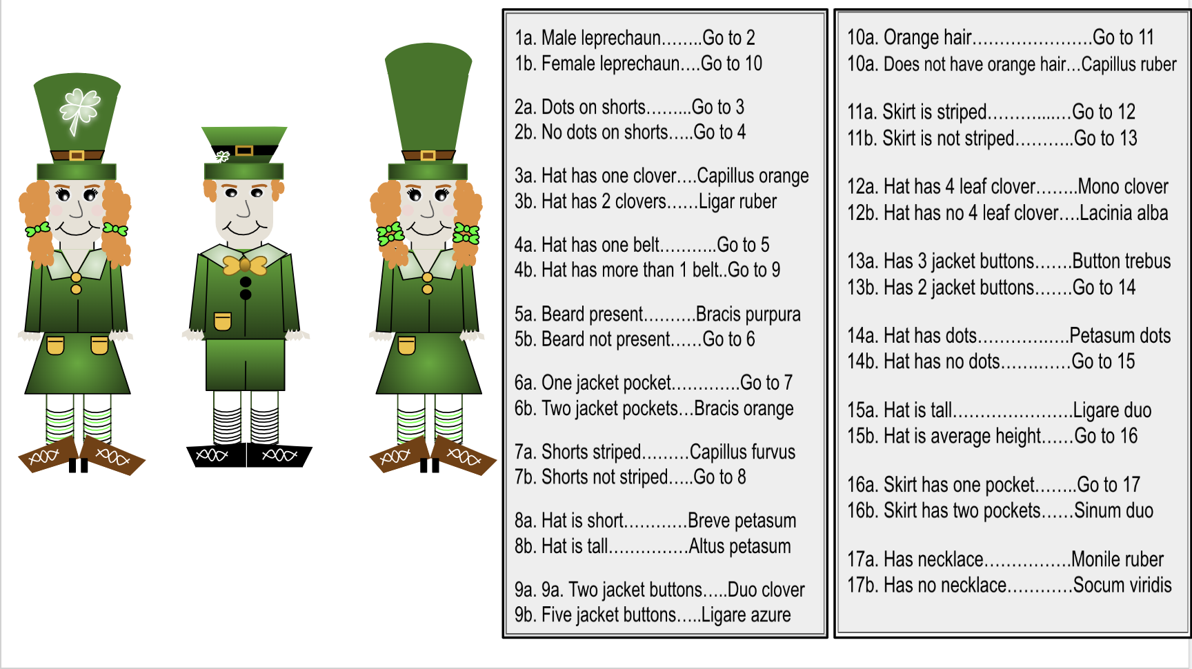 Leprechaun Dichotomous Key - Classful