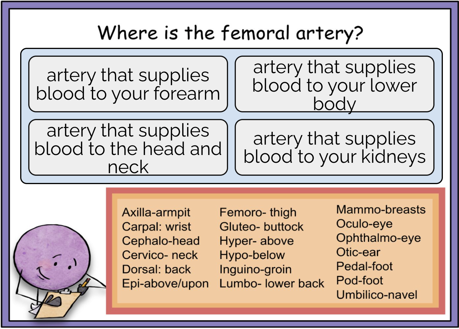 Boom Cards- Introduction to Medical Terminology. Part 1 - Classful