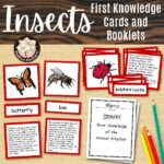 Telling Time to the Minute Riddle Reveal Telling Time Boom Cards - Classful