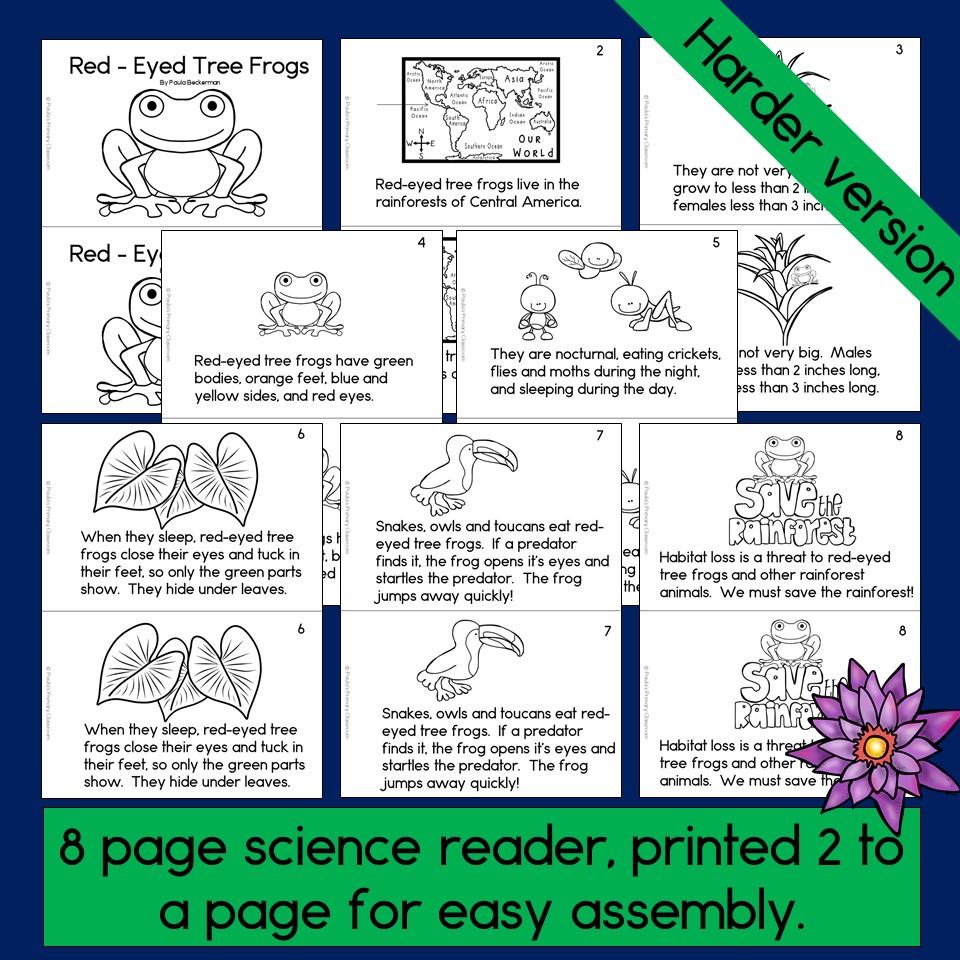 Rainforest Animals Red Eyed Tree Frogs Book and Reading Comprehension ...
