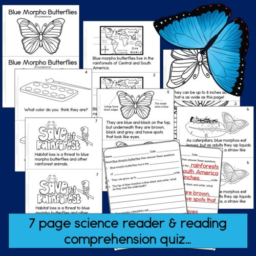Rainforest Animals Blue Morpho Butterfly Reading Comprehension Book w ...