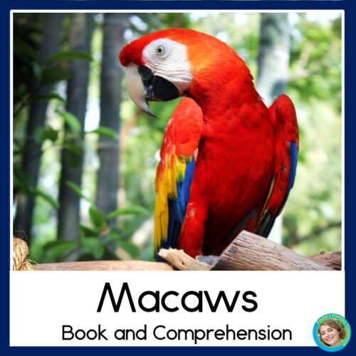 Rainforest Animals Macaws Book Reading Comprehension Passage and ...