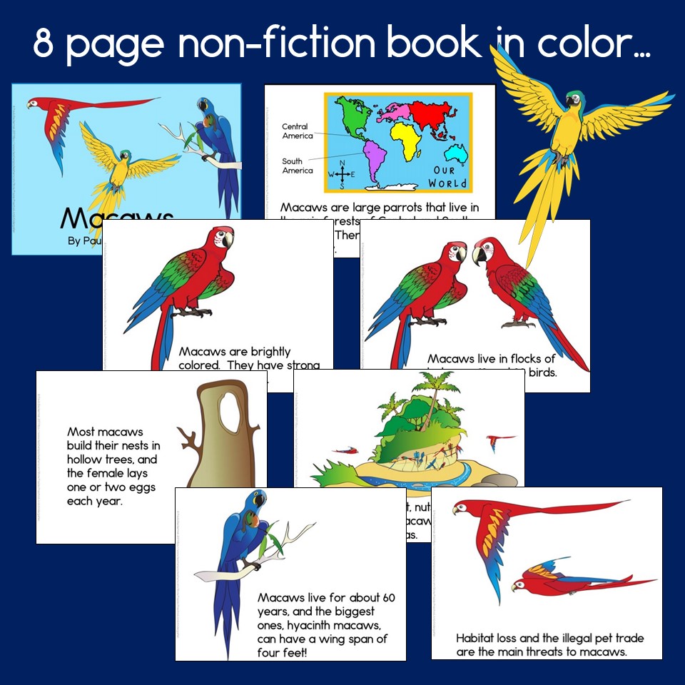 Rainforest Animals Macaws Book Reading Comprehension Passage and ...
