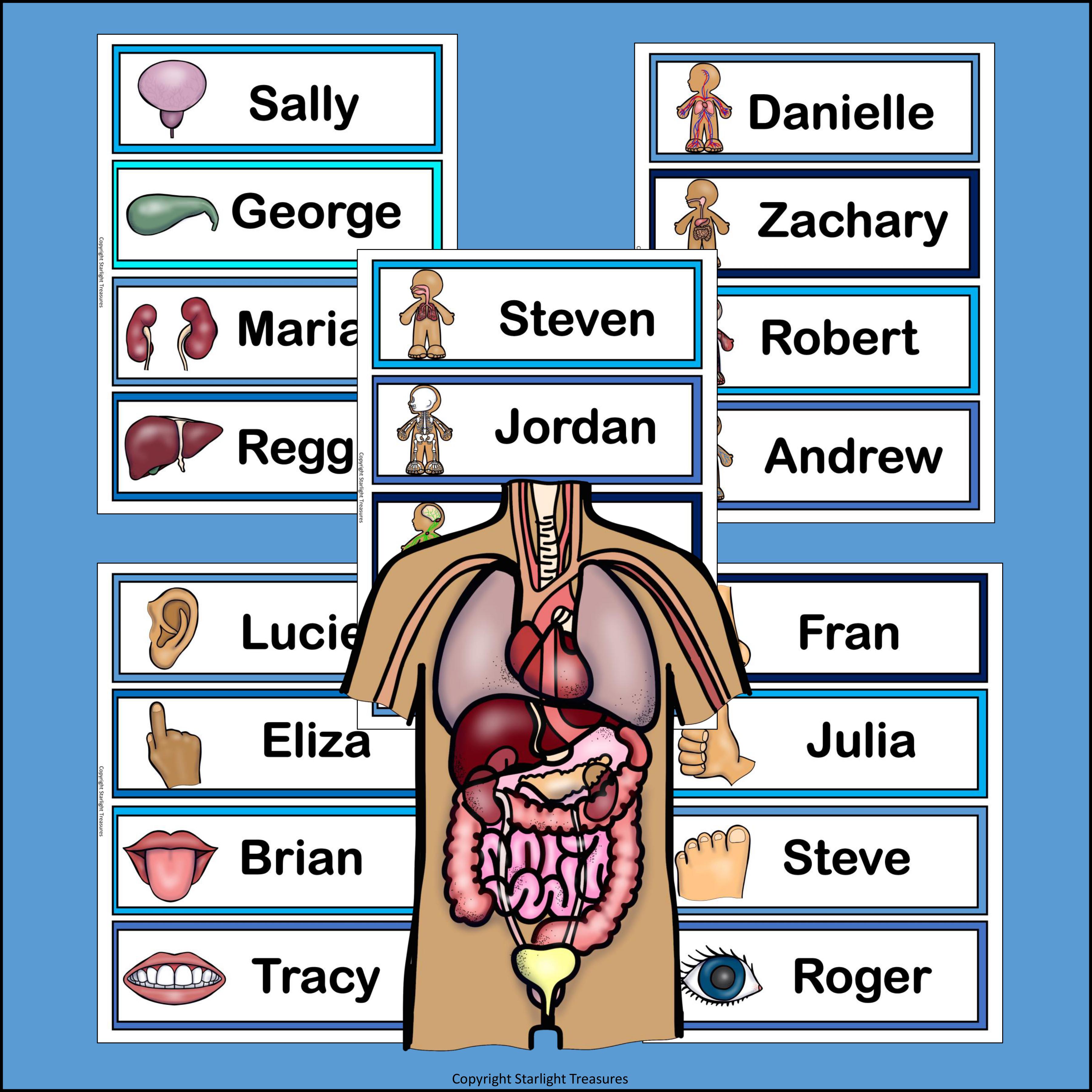 Human Body Name Tags - Editable - Classful