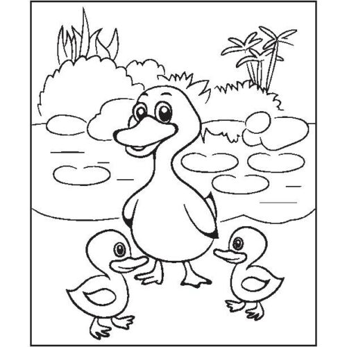 20 Duck Coloring Pages for Kids! Printable Digital Download - Classful