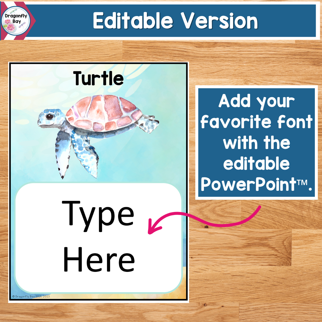 Ocean Alphabet Classroom Décor Posters in 12 Fonts EDITABLE - Classful