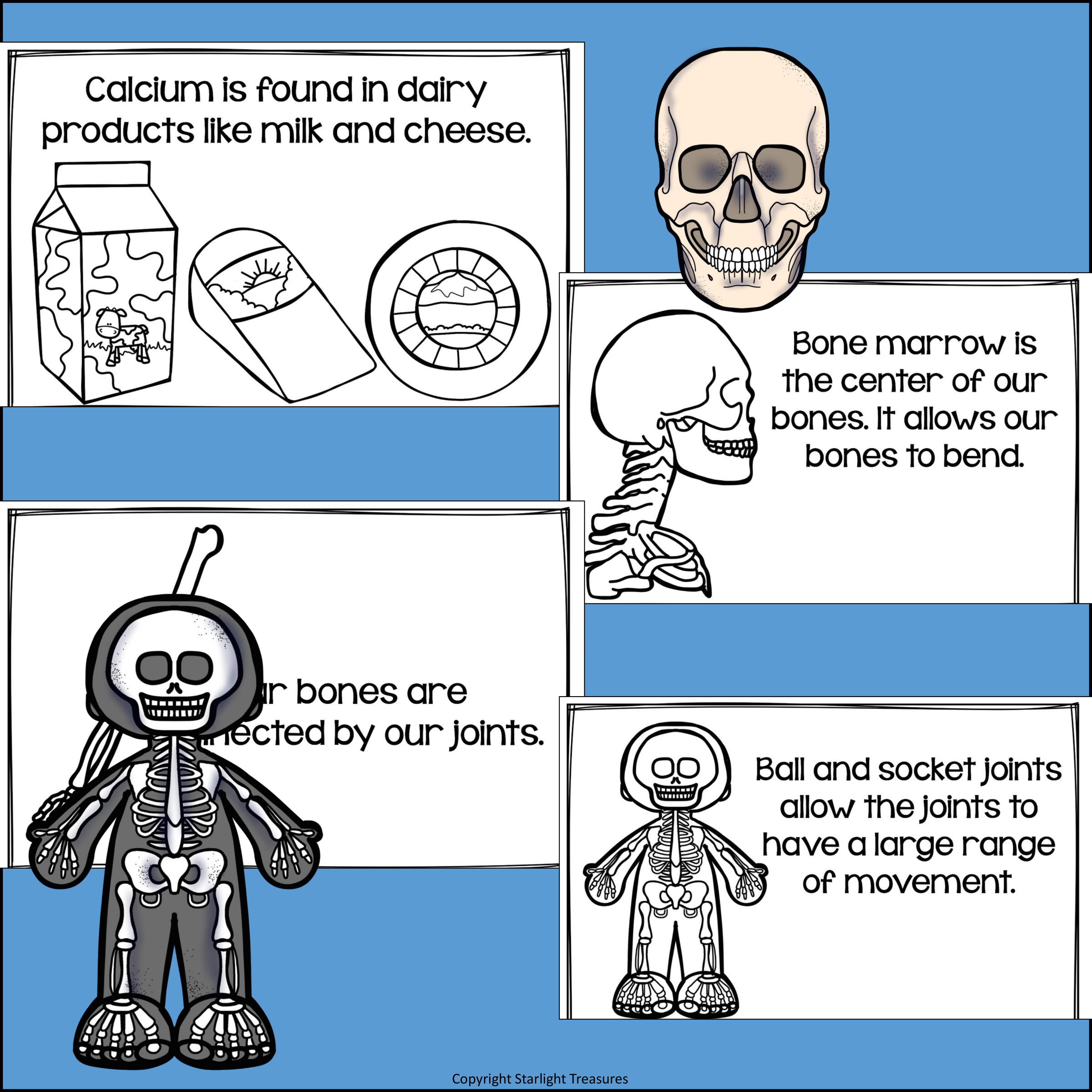 Human Body Systems- Skeletal System Mini Book for Early Readers - Classful