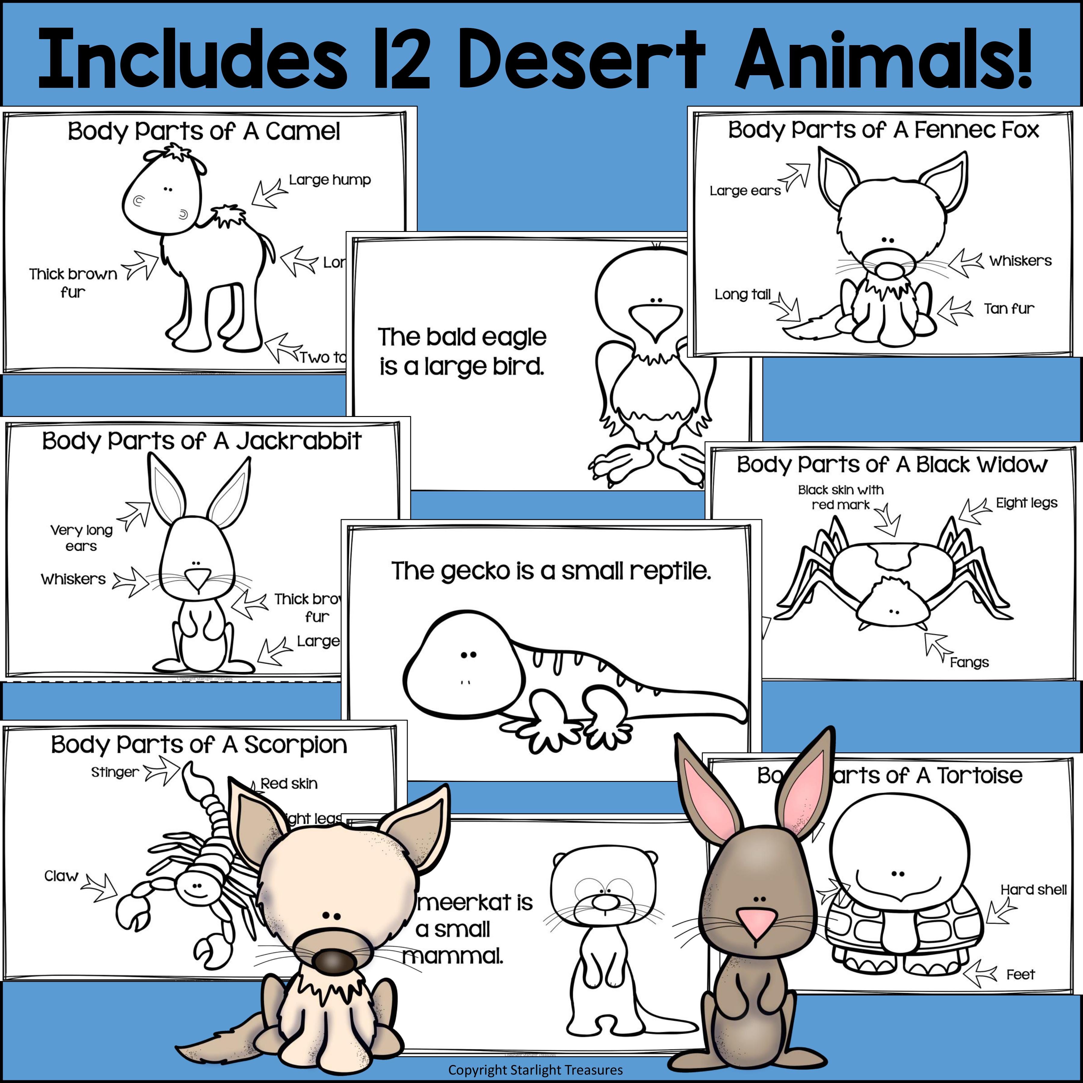 The Desert Mini Book for Early Readers- Desert Animals - Classful