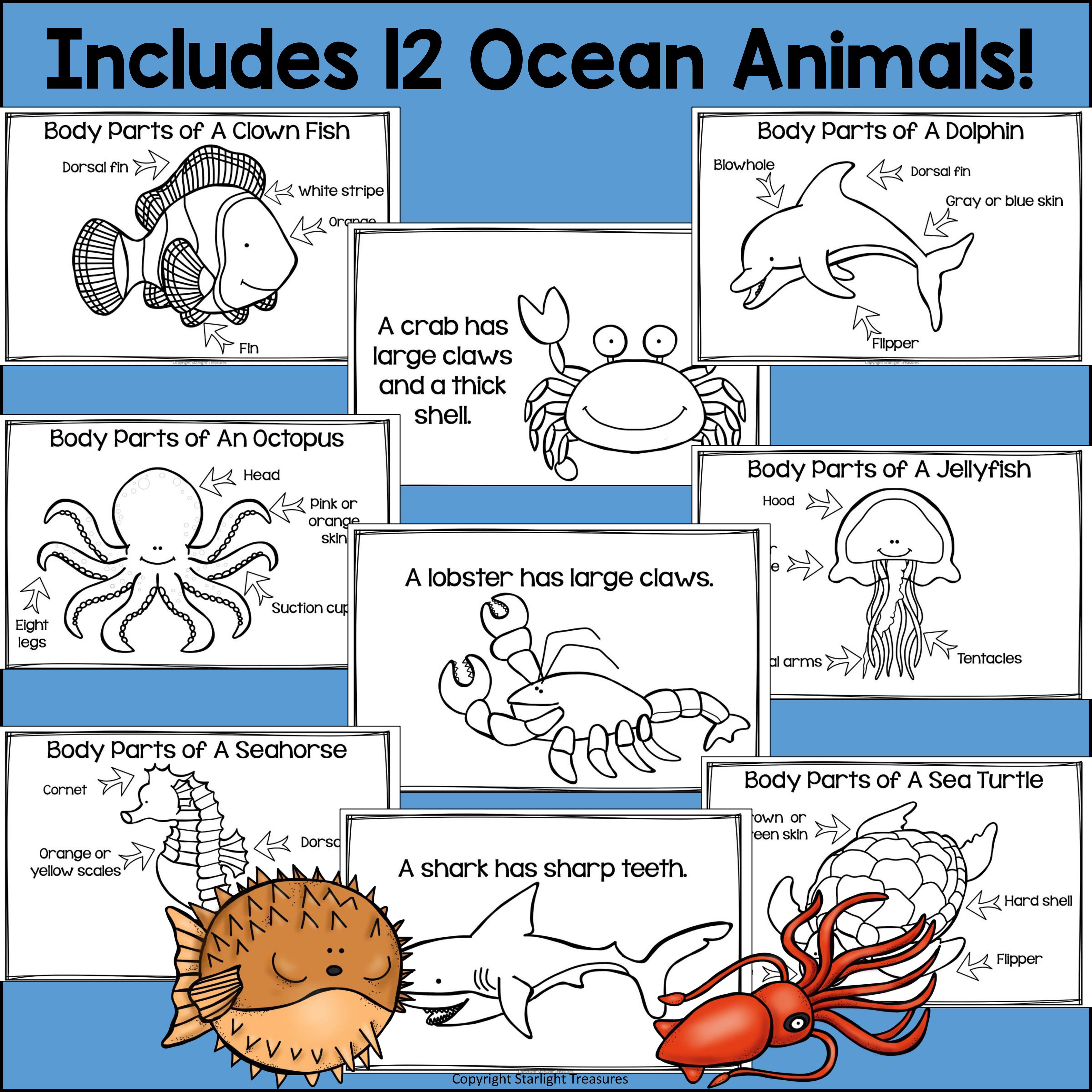 The Ocean Mini Book for Early Readers- Ocean Animals - Classful