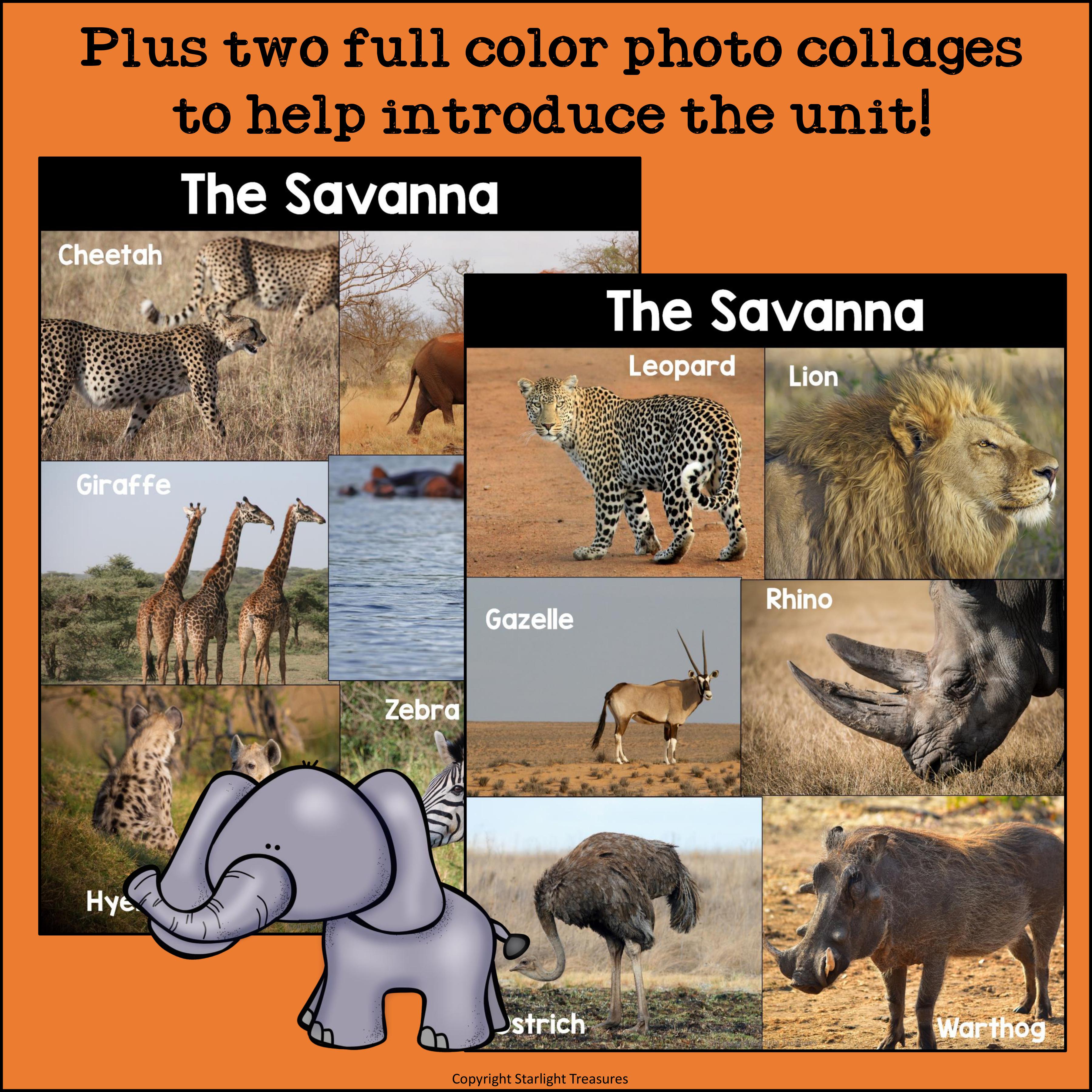 The Savanna Mini Book for Early Readers- Savanna Animals - Classful