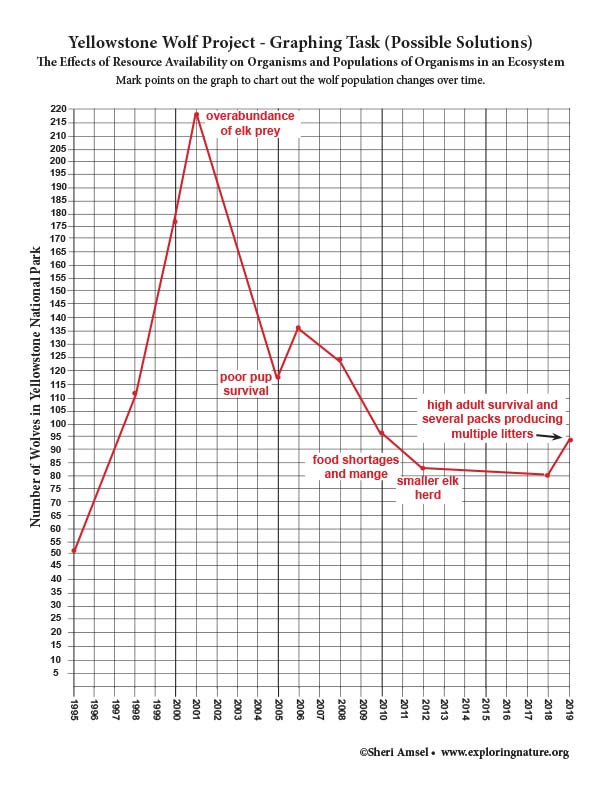 Cycles of Matter and Energy Transfer in Ecosystems (Food Webs) - Grade ...