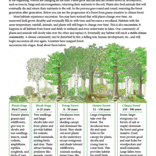 Ecosystem Dynamics, Functioning, and Resilience, Biodiversity and ...