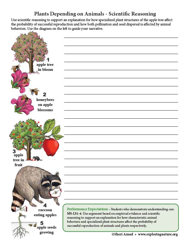 Growth and Development of Organisms - Reproductive Behaviors ...