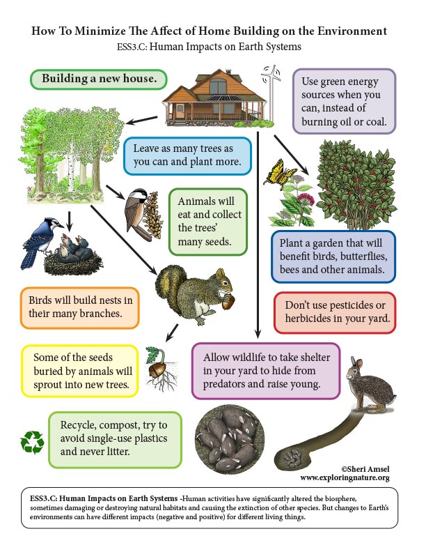 Human Impacts on Earth Systems and Climate Change - Grade 6-8 ...