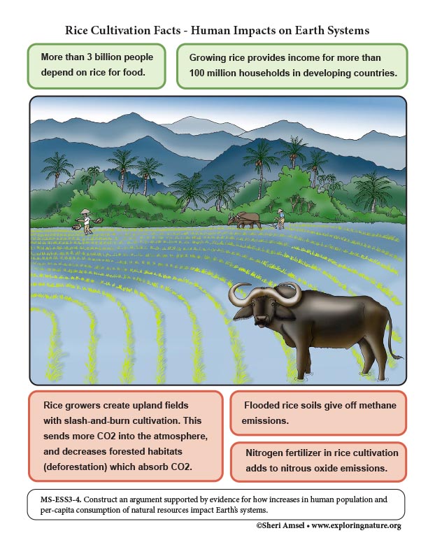 Human Impacts on Earth Systems and Climate Change - Grade 6-8 ...