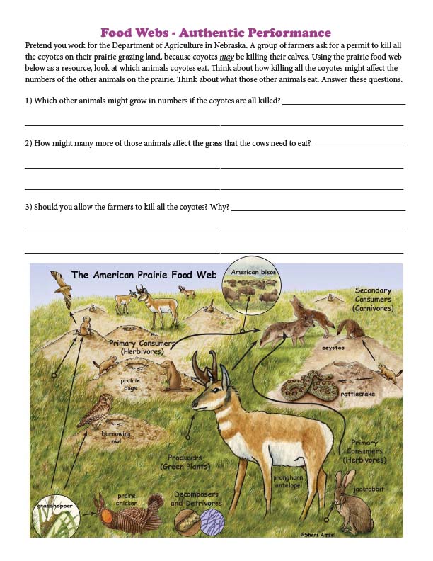 Interdependent Relationships in Ecosystems and Cycles of Matter and ...