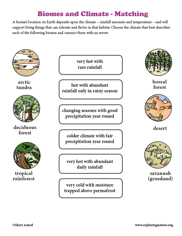 Earth's Systems - Grade 5 - Downloadable Bundle - Classful