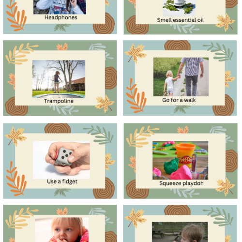 Sensory Activity PECS - Classful