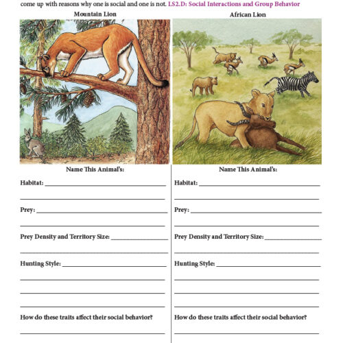 Social Interactions and Group Behavior (Animal Groups) - Grade 3 ...