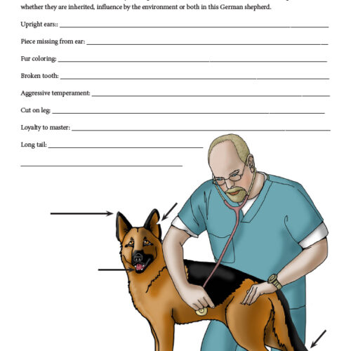 Inheritance and Variation of Traits (Heredity) - Grade 3 - Downloadable ...